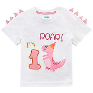 1st Birthday Girl T-Shirt Dinosaur Party B-Day Themed Tee Gift for Baby Dino First Birthday T Shirt Cotton Short Sleeve T-Rex Printed Embroidery Graphic Top Clothes (White, 1T)
