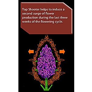 House & Garden Shooting Powder Sachet (5 sachets per Box)