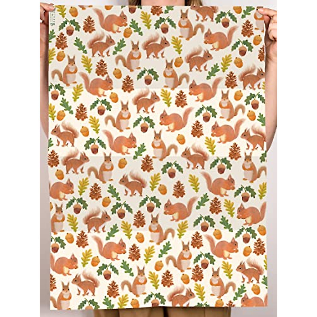 CENTRAL 23 Fall Wrapping Paper - Squirrels - Acorns - Wrapping Paper Baby Shower - 6 Sheets Eco Gift Wrap - Comes With Fun Stickers - Recyclable