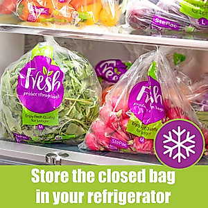 Xtend Fresh Produce Bags for Fridge Storage, 10 Reusable Bags (Medium size 0.5 gallon), Science Based Technology Keeps Fruits, Vegetables, & Herbs Fresh Longer