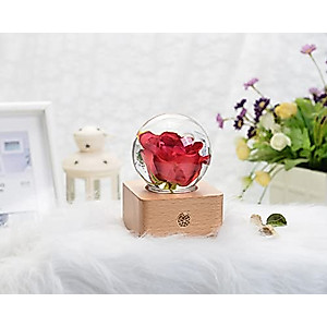 Ellington Gifts Real Preserved Flower Glass Ball Night Light | Dimmable Battery LED, Real Eternal Flowers, Birthday Gifts for Women Mom Girlfriend, Special Anniversary, Valentine's Day (Red Rose)