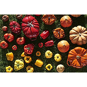 Staub 40500-325 Paprika Cocotte, 4.7 inches (12 cm), Orange, Ceramic, Heat Resistant, Ceramic, Microwave Safe