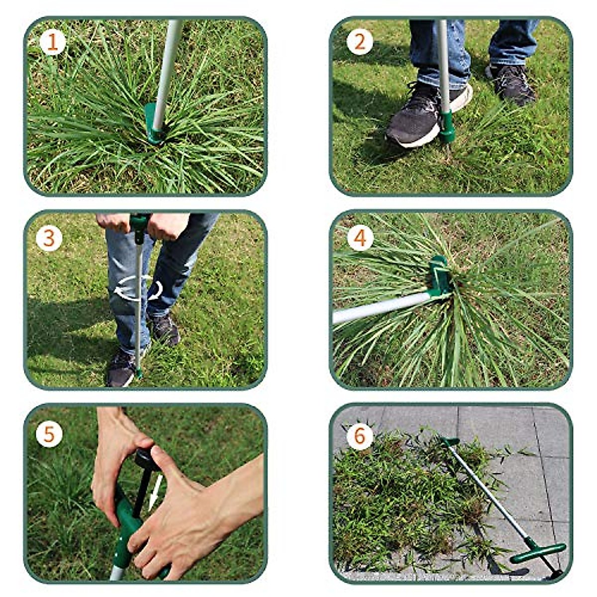 Walensee Weed Puller, Stand Up Weeder Hand Tool, Long Handle Garden Weeding Tool with 3 Claws, Hand Weed Hound Weed Puller for Dandelion, Standup Weed Root Pulling Tool and Picker, Grabber (1 Pack)