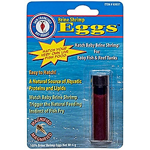 San Francisco Bay Brand Brine Shrimp Eggs 0.2-Ounces (6 Grams) Vial
