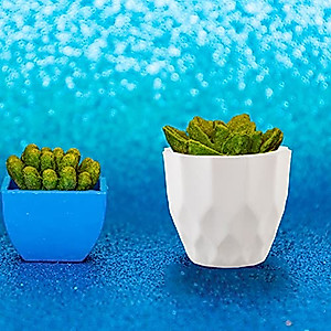 Happyyami Succulent Flower Pot 10pcs Plastic Mini Bonsai Pot Nordic Flower Pot Flower Pot Seedling Nursery Pots Flowerpot Plant Container 24. 5x16cm Plant Nursery Pot