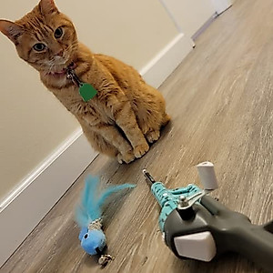 Cat Caster Fishing Pole Toy | Tangle Free, Retractable & Easy to Store. Includes Two Interchangeable Teaser Toys | The Ultimate Gift for Kitty Lovers, Fish Bone