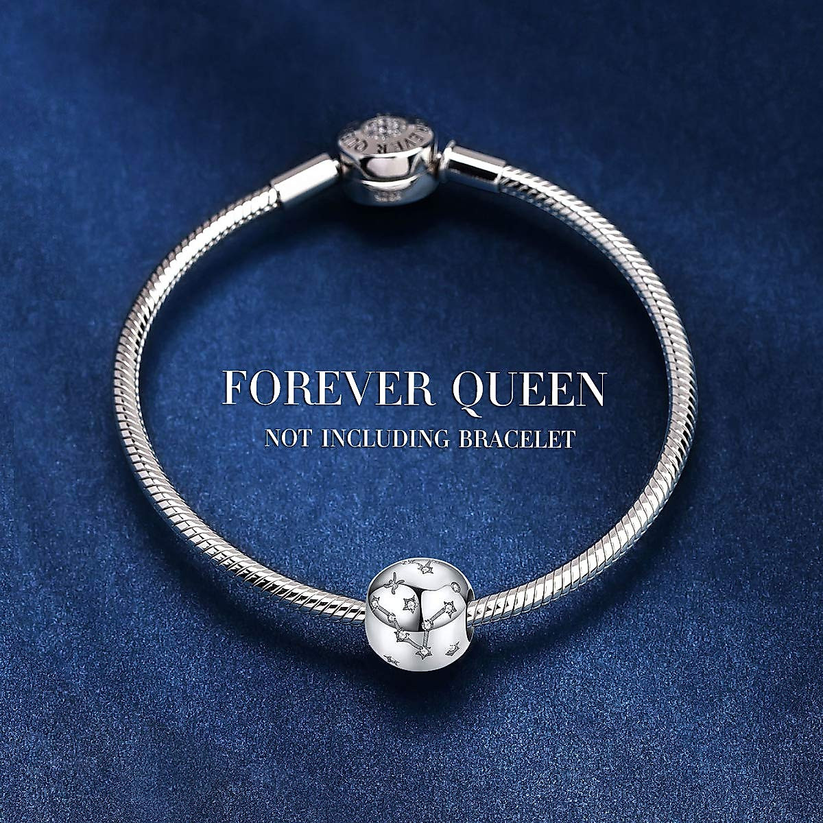FOREVER QUEEN Pisces Zodiac Star Sign 925 Sterling Silver Bead Charm Fits Bracelets 12 Constellations Charm, Womens Jewellery Gift with Box