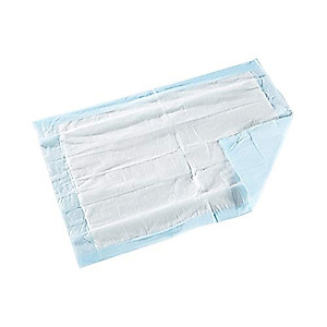 McKesson Classic Underpads, Incontinence Bed Pads, Light Absorbency, 17 in x 24 in, 300 Count