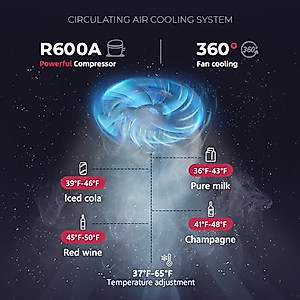 Icyglee 4.5 CU.FT Wine Cooler Refrigerator, Small Built-in Wine Fridge for Red, White and Champagne, Mini Fridge with Adjust Temperature, Black