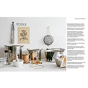 The Wild Dyer: A Maker's Guide to Natural Dyes with Projects to Create and Stitch