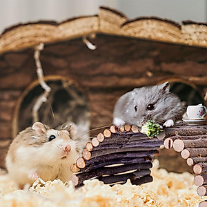 Hermit Crab Hideout,Hermit Crab Climbing Toys,Reptile Climbing Decor for Small or Medium Hermit Crab Habitat (Hermit Crabs Climb Bridges) Small Size