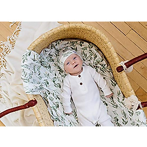 Large Premium Knit Baby Swaddle Receiving Blanket"Fern" by Copper Pearl