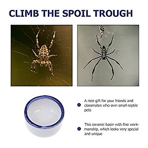 Ipetboom 12pcs Reptile Food Dish Bowl, Worm Dish Ceramic Pet Bowls Terrarium Bowls Reptile Water Sink for Leopard Gecko Bearded Dragon Tank Accessories, 2x2x1cm