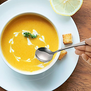 Foamia Soup Spoons, 12-Pack Stainless Steel Spoons Silverware Round Cereal Spoon Dinner Spoons Tablespoons Set for Bouillon Dessert Ice Cream Kitchen Cooking Flatware