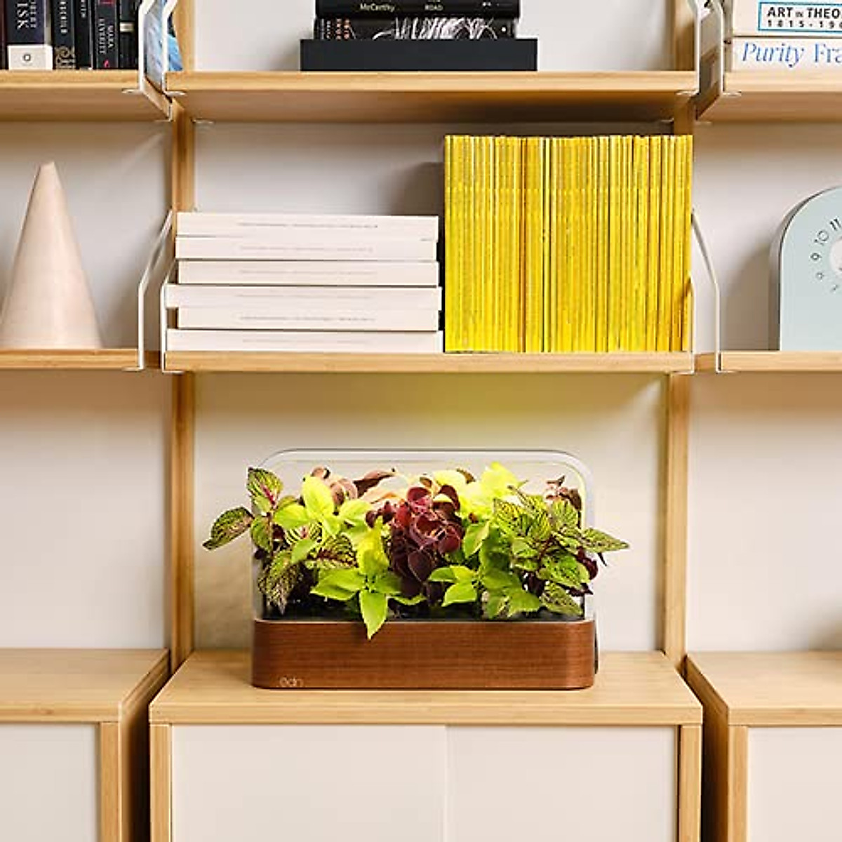 edn SmallGarden with Basil SeedPods, Indoor Grow Smart Garden Starter Kit for Fresh Home Grown Herbs, Plants and Flowers