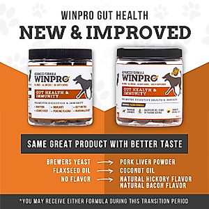 WINPRO | Dog Gut Health Supplement, Plasma-Powered Chews for Digestive Health, Fast Acting Immune Support in Dogs of All Breeds and Sizes, 60 Count, Made in USA
