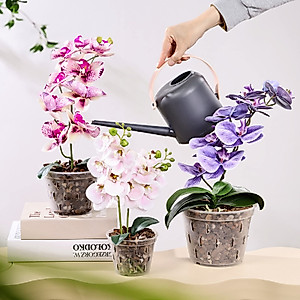 TRUEDAYS Orchid Pots with Holes Plastic Flower Plant Pot Clear Plastic Orchid Pot for Indoor Outdoor,2 Each of 4.5 Inch/5.5 Inch/7 Inch - 6 Pack