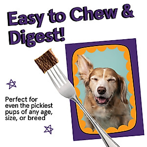 TRMC Real Meat Air Dried Dog Food w/Real Lamb - 5lb Bag of USA-Crafted Grain-Free Real Meat Dog Food Sourced from Hormone-Free, Free-Range, Grass-Fed Lamb - Digestible, All Natural, High Protein Lamb