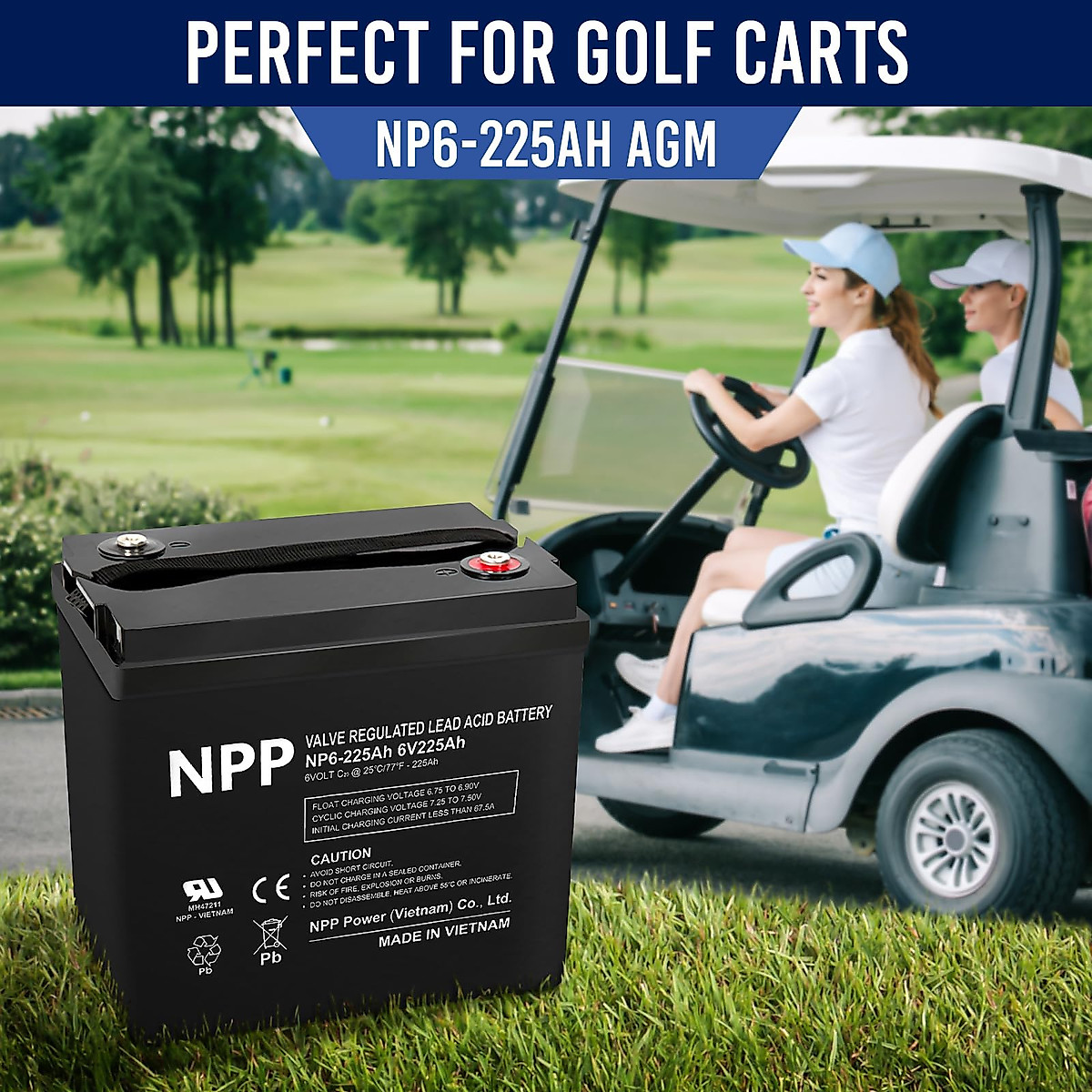 NP6-225Ah (4 Pcs) AGM Rechargeable Battery with T16A Terminal, Replace V6-225 Lead-Acid Battery, for Golf Carts, Pallet Jack, Solar Setup, Trolling Motor, RV, Marine, Wheelchair, Camping