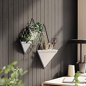 Umbra Trigg Small Wall Display, White-Nickel, Planter Pot, Indoor Outdoor Usage