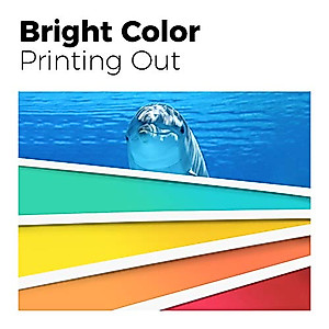 MYCARTRIDGE Remanufactured Ink Cartridge Replacement HP 952XL 952 XL Ink Cartridge Officejet Pro 8710 8715 8720 8740 7740 8210 8730 Printer (1 Black 1 Cyan 1 Magenta 1 Yellow, 4-Pack)