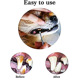 Hotop 3 Pieces Dog Dental Tooth Scaler and Scraper Stainless Double Headed Tarter Remover Scraper Pet Teeth Cleaning Tools for Dog and Cat£¨Silver£©