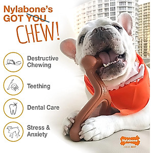 Nylabone Dura Chew Nylon Antler Dog Chew Toy, Large (4 Pack)
