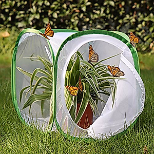 RESTCLOUD Insect and Butterfly Habitat Cage Terrarium Pop-up 12 X 12 X 12 Inches, Polyester Bottom for Easier Clean
