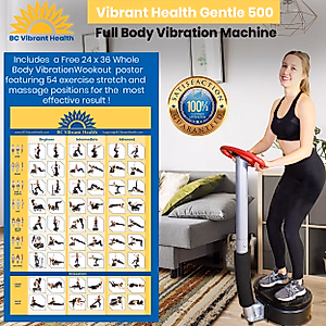 Becky Chambers Vibrant Health Gentle 500 Vertical Vibration Platform Machine