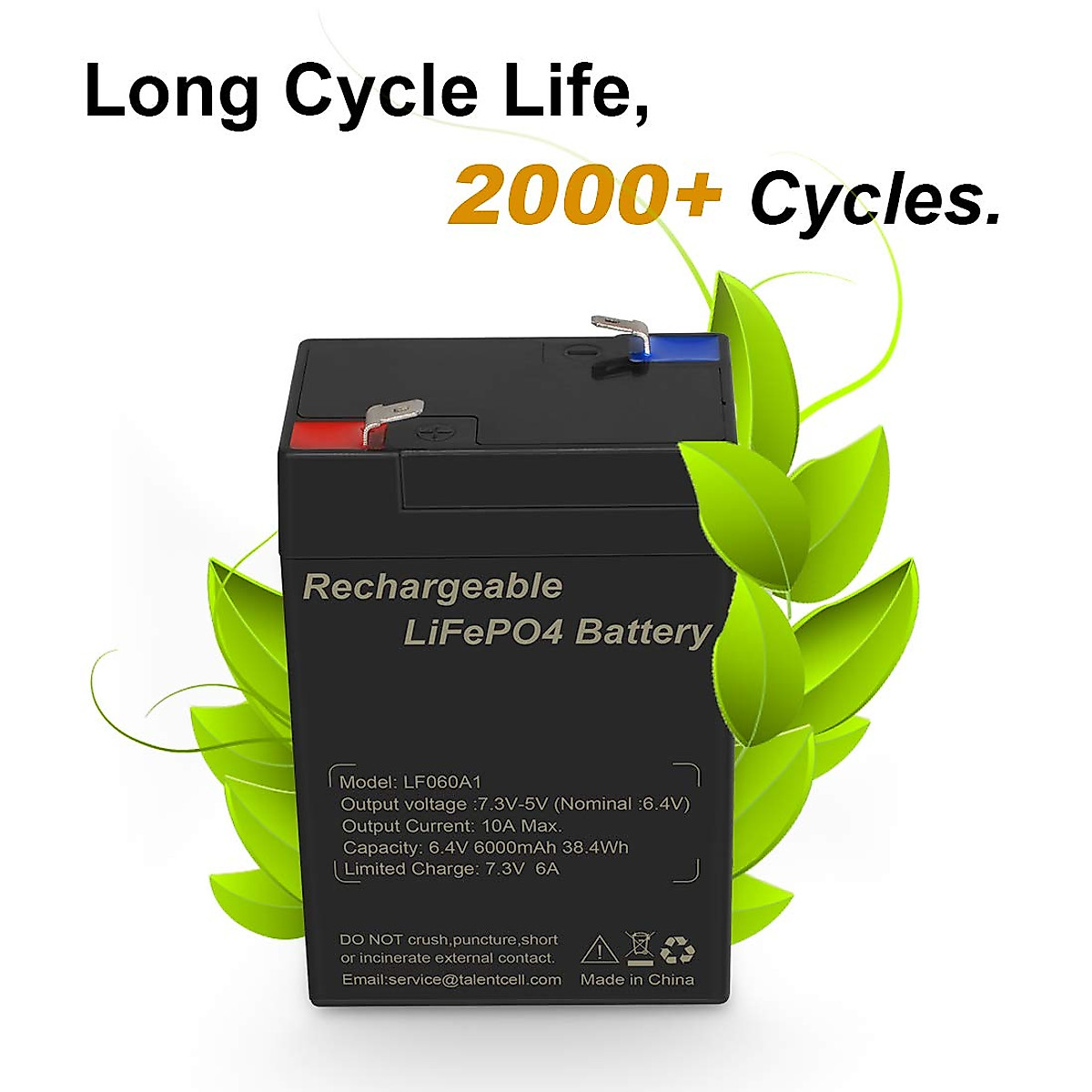Talentcell 6V 6Ah LiFePO4 Battery Pack LF060A1, 2000 Cycles Rechargeable Lithium Iron Phosphate Battery with Charger