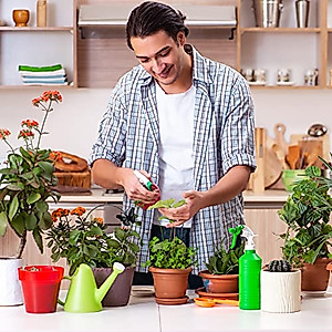 CREPUSCOLO 4 Pcs Metal Trellis for Indoor Potted Plants, Mini Plant Support Stake for House Climbing Plants, Plants Trellis for Garden Potted Plant, Pothos, Flower