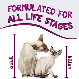 Earthborn Holistic Harbor Harvest Grain Free Canned Cat Food, 5.5 Oz, Case Of 24