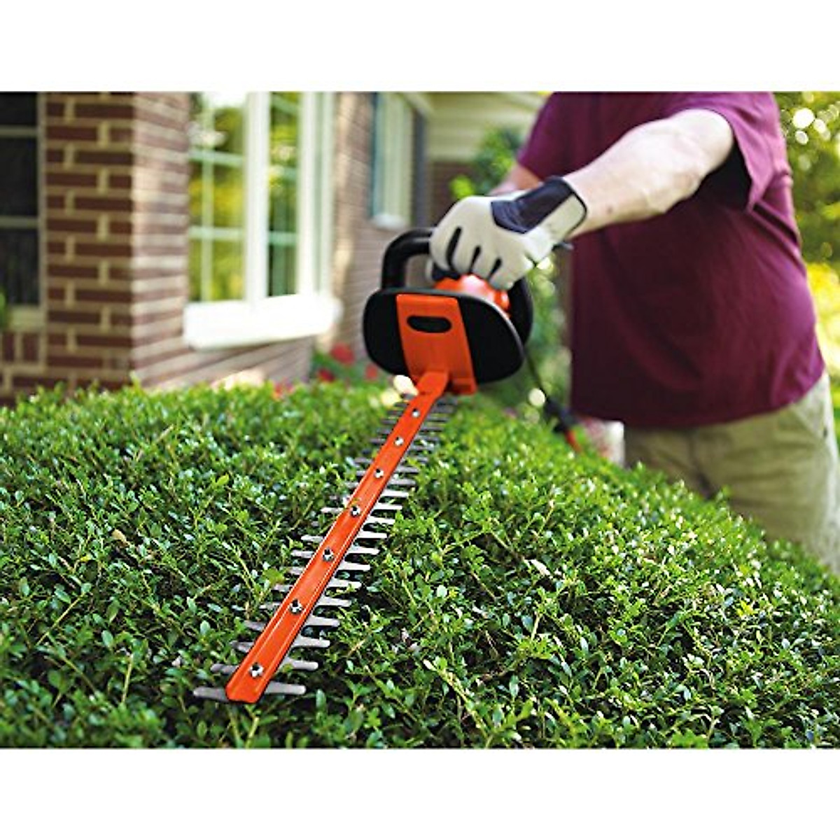 BLACK+DECKER Hedge Trimmer, Rotating Handle, Dual Blade Action Blades, 3.3-Amp, 24-Inch (HH2455)