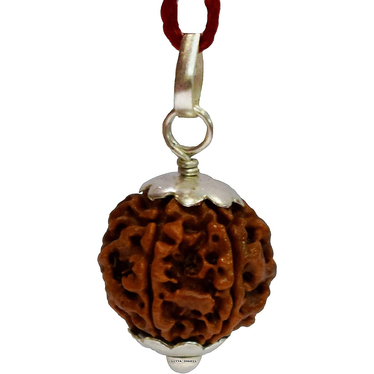 Astrodivine 21 Mukhi Rudraksha Original Certified Pendant Sterling Silver Real Nepal Bead Genuine Rudraksh Fruit 21 मुखी रुद्राक्ष पेंडल
