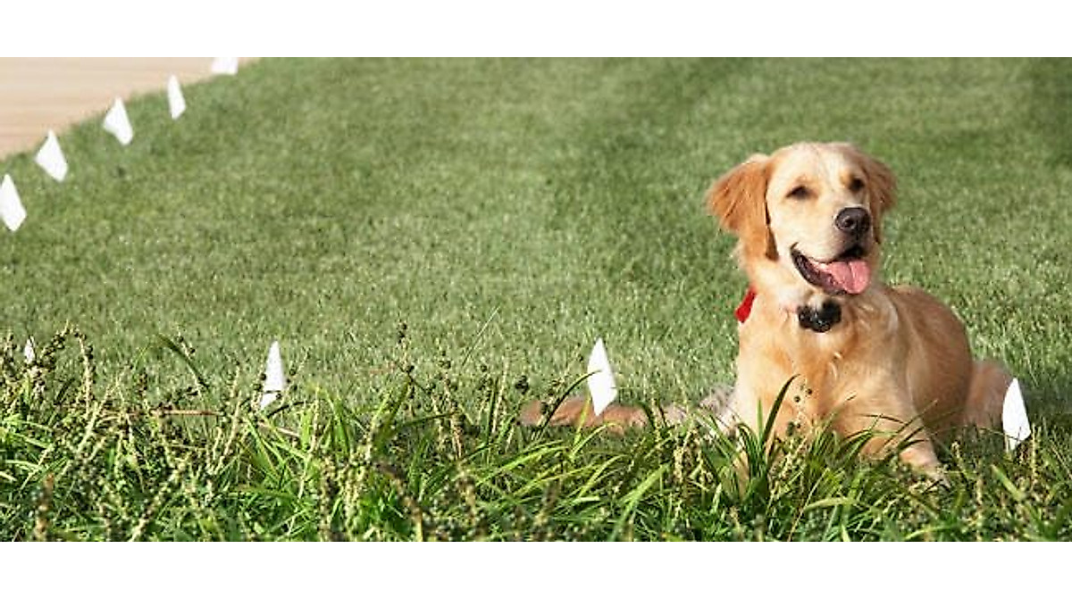 50 Extreme Dog Fence Training Flags for Boundary Setup