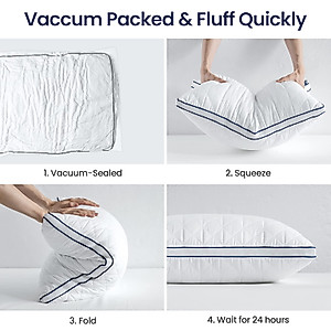 BedStory Bed Pillows for Sleeping-King Pillows Set of 2-Cooling Pillows with Mesh Design-Premium Soft Down Alternative Fill Supportive for Back, Stomach or Side Sleepers