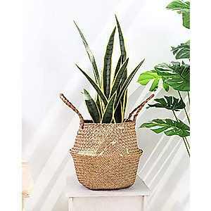 BlueMake Woven Seagrass Belly Basket for Storage Plant Pot Basket and Laundry, Picnic and Grocery Basket (Medium, Original)