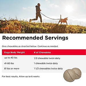 Nutri-Vet Hip & Joint Extra Strenght Chewable Tablets for Dogs, 75 count (24743-3)