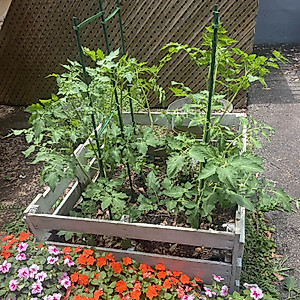 Garmeinea Garden Stakes 60 Inches Plastic Coated Steel Plant Stakes for Growing Climbing Plants, Pack of 25