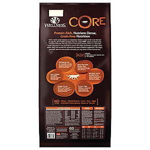 Wellness CORE Natural Grain Free Original Turkey & Chicken Dry Dog Food 24 lbs.