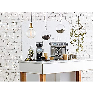 Breville BES920XL Dual Boiler Espresso Machine,84 oz, Brushed Stainless Steel