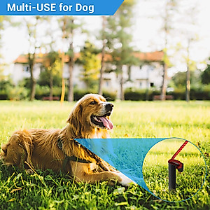 20Pcs Metal Landscape Edging Stakes, 8.5In Garden Stakes Landscape Anchoring Spikes for Terrace Board, Landscape Edging Coil, Grass Barrier, Bender Board, Garden Liner