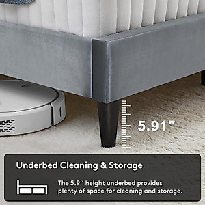 Zeelovtress Queen Size Bed Frame with Adjustable Headboard, Upholstered Platform Bed, Velvet Bedframe Mattress Foundation, Strong Wooden Slat Support, Easy Assembly, No Box Spring Needed, Silver Grey