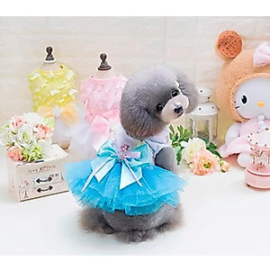 Clopon Dog Dress Puppy Birthday Clothes for Medium Yorkie Dogs Christmas Tiny Girl Floral Princess Dress L