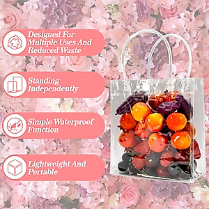 MAQIHAN Clear PVC Gift Bags With Handles 10 PCS PVC Party Favor Bags Transparent Party Favour Plastic Gift Bags 5.9X6.3 Inches Clear Mini Tote Goodie Bag Bulk PVC Plastic Bags With Handles For Gifts