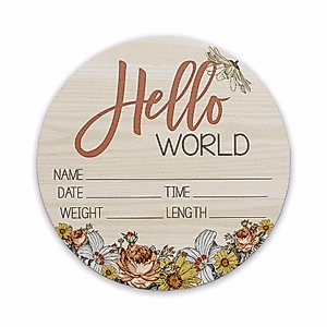 Birth Stat Sign for Newborn Baby, 6" Floral Design, Hello World, Gift for New Mom, Baby Shower, Gender Reveal, Crib & Nursery Decor, Pregnancy Announcement, Photography Prop, Hickory Hollow Designs