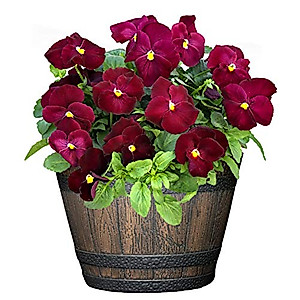 Classic Home and Garden S74D-037R Whiskey Barrel, 9", Kentucky Walnut