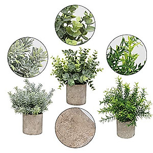 Flojery Mini Potted Plants Artificial Eucalyptus Boxwood Rosemary Faux Herbs Small House Plants 8.3"-9" Tall for Indoor Greenery Tabletop Décor Centerpiece (Sprayed Eucalyptus)