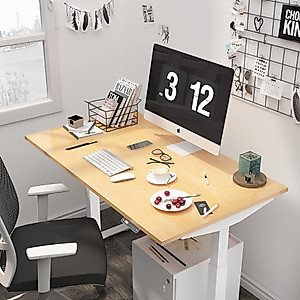 ALFA FURNISHING Advanced 48x30 Inches Standing Desk for Home Office, Dual Motor Electric Adjustable Height Desk, Sit Stand Desk with 4 Pre-Set Memory (48x30, Maple Top + White Frame Dual Motor)