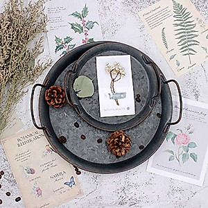 Funerom Industrial Style Metal Iron Tray Set of 2, Diameter：11.8 inch and 8 inch,Black Galvanized Tin Color